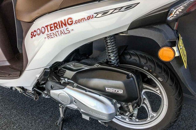 Scooter Rental - Honda NSC110 Dio 110cc - Authentic Experiences and Traveler Insights