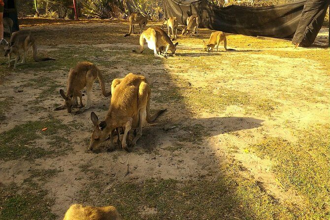 Scooter Wildlife & Sunset Tour - FAQ: Your Questions Answered