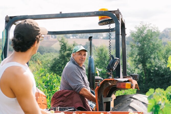 Scoprire la Vera Tintilia del Molise, Autentico ed Eccellenso - FAQ about the Tour