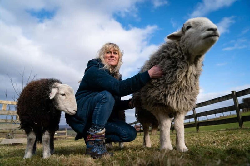 Scotland: Relaxation Retreat with Naughty Sheep - The Experience Itself: What Makes It Special
