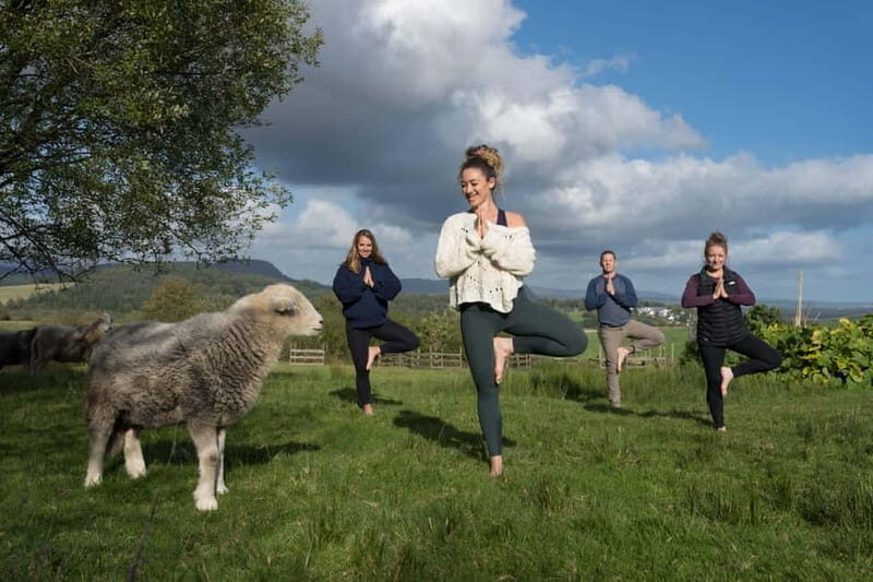 Scotland: Relaxation Retreat with Naughty Sheep - Who Will Love This Tour?
