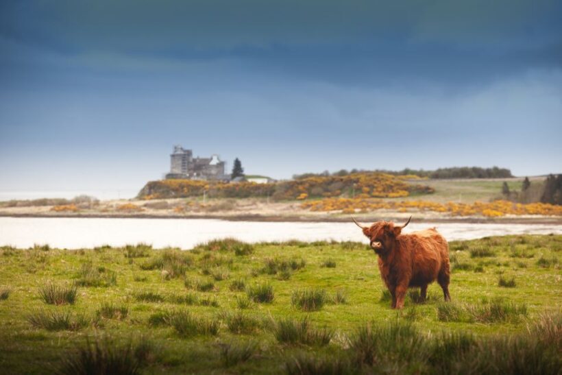 Scotland: West Highlands, Mull and Iona 4-Day Tour - An Inviting Introduction to Scotland’s Wild Coast