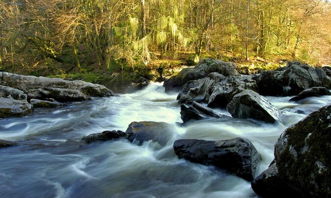 Scotland's Glens, Highlands & Whisky Day Trip from Edinburgh - Transportation and Group Size