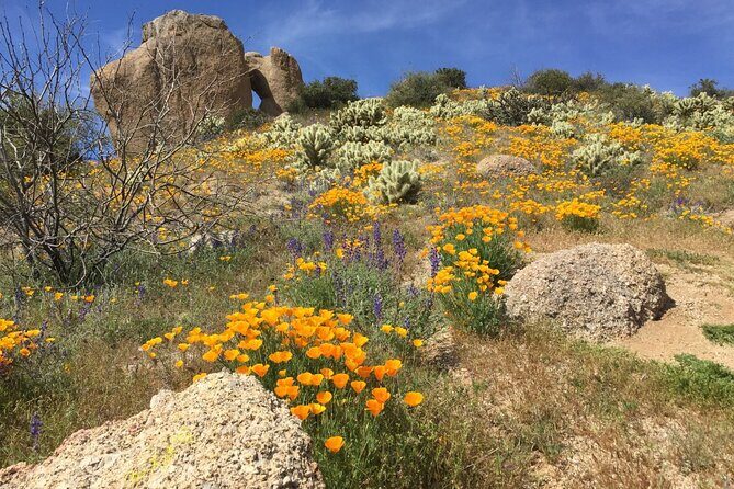 Scottsdale Desert Classic Guided Hiking Adventure - Is This Tour Right for You?