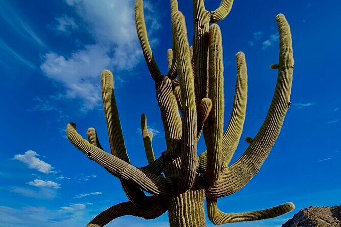 Scottsdale Desert Classic Guided Hiking Adventure - The Sum Up: Who Will Get the Most Out of This Hike?