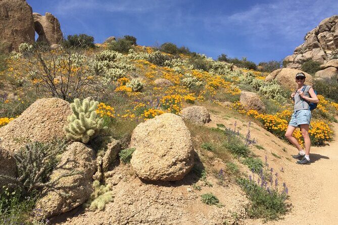 Scottsdale Desert Classic Guided Hiking Adventure - FAQ: Your Questions Answered