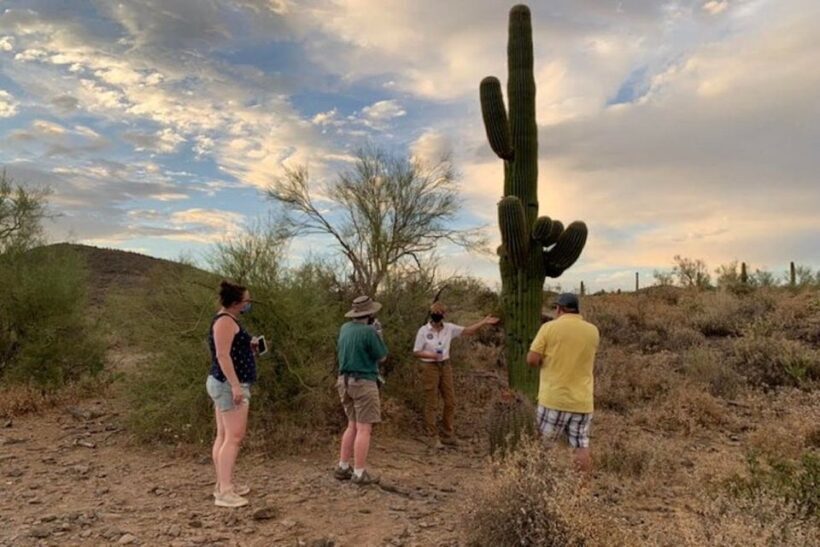 Scottsdale: McDowell Sonoran Preserve Hiking Tour - A Closer Look at the Experience
