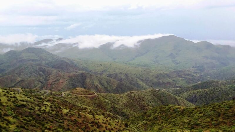 Scottsdale: Sonoran Desert to MountainTop Jeep Tour - Practical Info: What to Know Before You Go