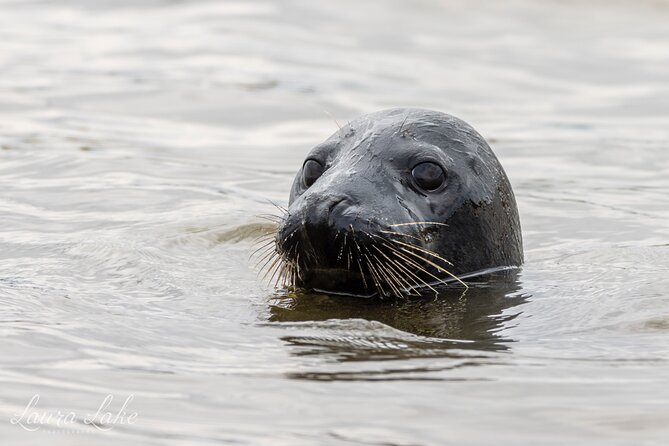 Scroby Sands Seal Watching - Cancellation Policy and Flexibility