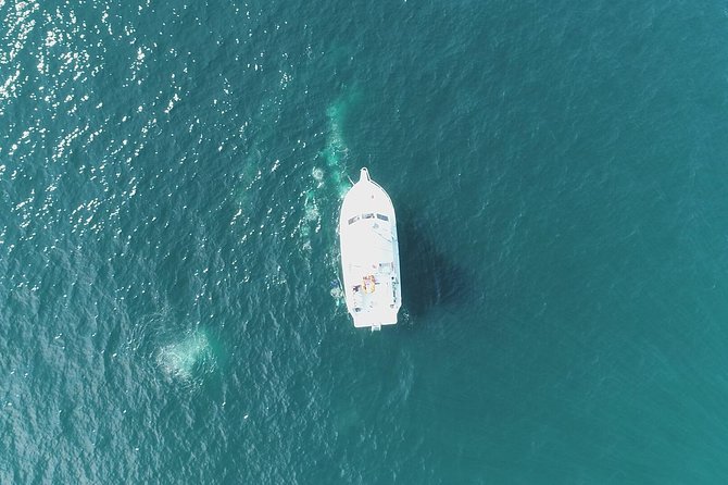 Scuba Certification - Health and Safety Considerations