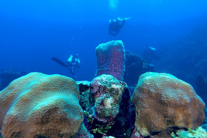 Scuba Certification - Pricing and Booking Information