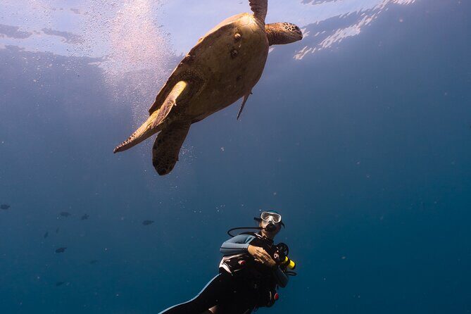 Scuba Dive at Electric Beach - FAQ
