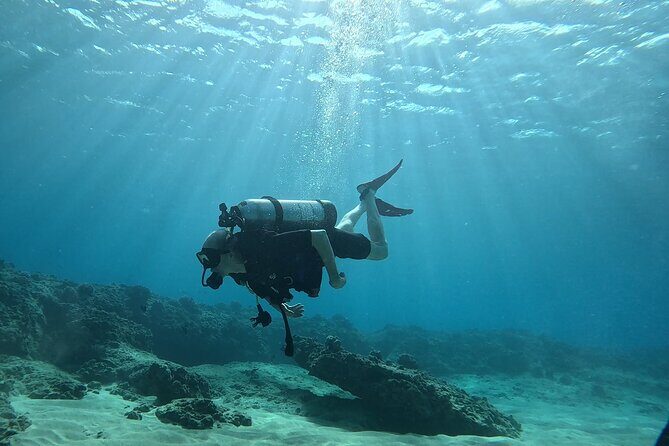 SCUBA Dive at Electric Beach with Photos -No Certification Needed - What to Expect on Your Electric Beach Scuba Tour