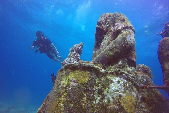 Scuba Dive at Musa Cancun for Certified Divers - An Introduction to the MUSA Cancun Experience