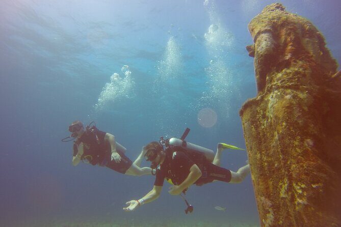 Scuba Dive at Musa Cancun for Certified Divers - What to Expect: A Step-by-Step Breakdown