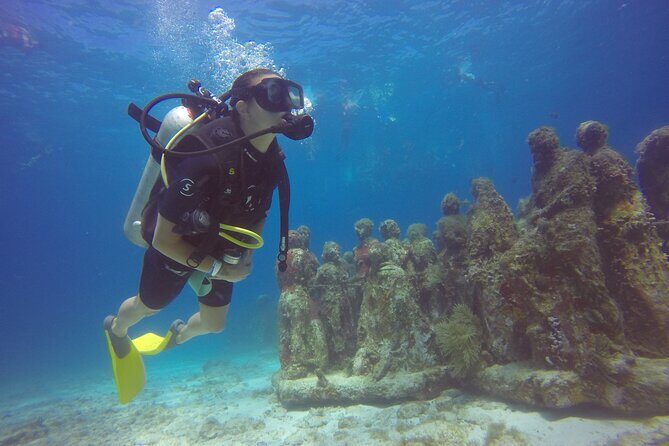Scuba Dive at Musa Cancun for Certified Divers - Authentic Insights and Traveler Perspectives