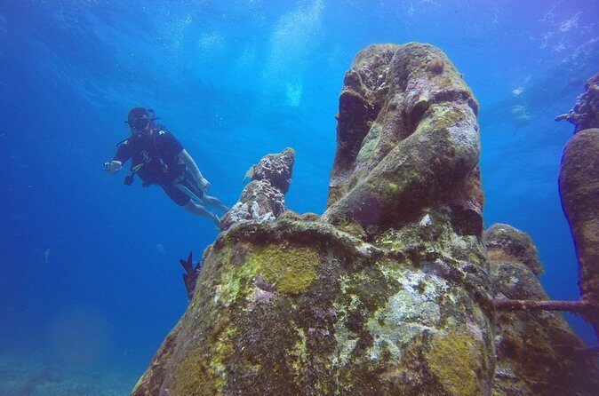 Scuba Dive at Musa Cancun for Certified Divers - Final Thoughts: Is This Tour Worth Your Time?