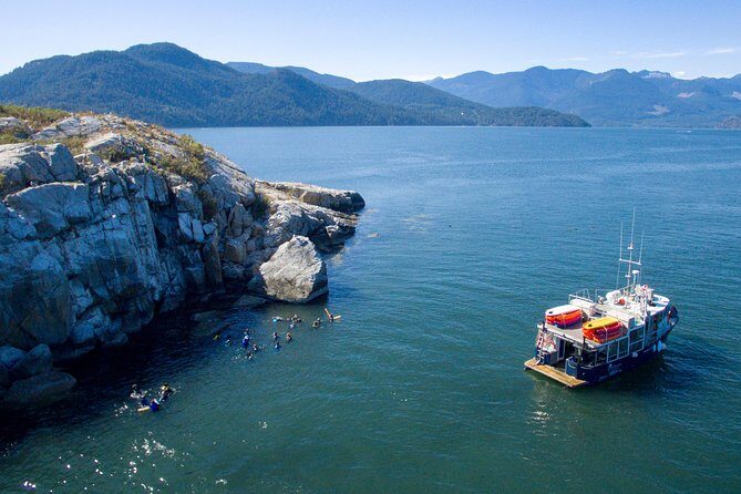 Scuba Dive Boat Charter in Vancouver (Certified Divers Only!) - An In-Depth Look at the Experience