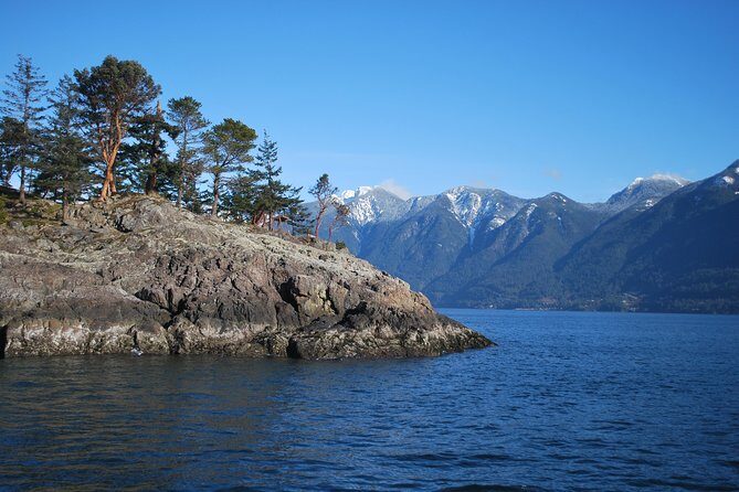 Scuba Dive Boat Charter in Vancouver (Certified Divers Only!) - Who Should Consider This Tour?