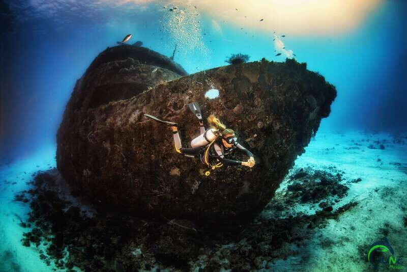 Scuba Dive in Playa del Carmen - 2 Dives (Certified divers) - Introduction: What to Expect from Playa del Carmen Reef Dives