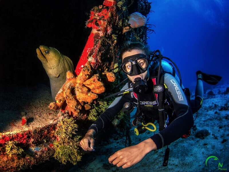 Scuba Dive in Playa del Carmen - 2 Dives (Certified divers) - FAQ