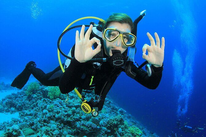 Scuba Dive in the best reefs in the Riviera Maya 2 tanks - Final Thoughts