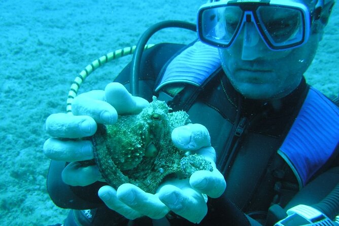 SCUBA DIVE: Kallithea's Underwater Exploration - Frequently Asked Questions