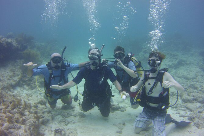 SCUBA Dive Key Largo Reef (min 6 divers) - Exploring the SCUBA Dive Key Largo Reef Tour: An Honest Look