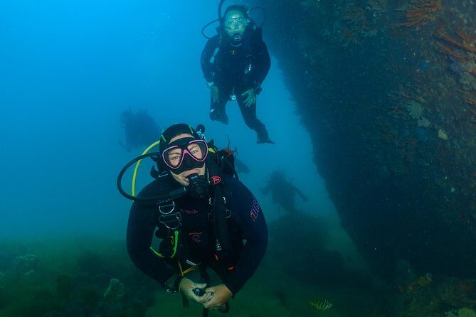 Scuba Dive The Beautiful Rottnest Island for Certified divers - Introduction