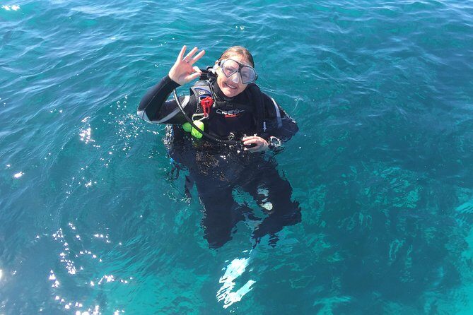 Scuba Dive The Beautiful Rottnest Island for Certified divers - Key Points