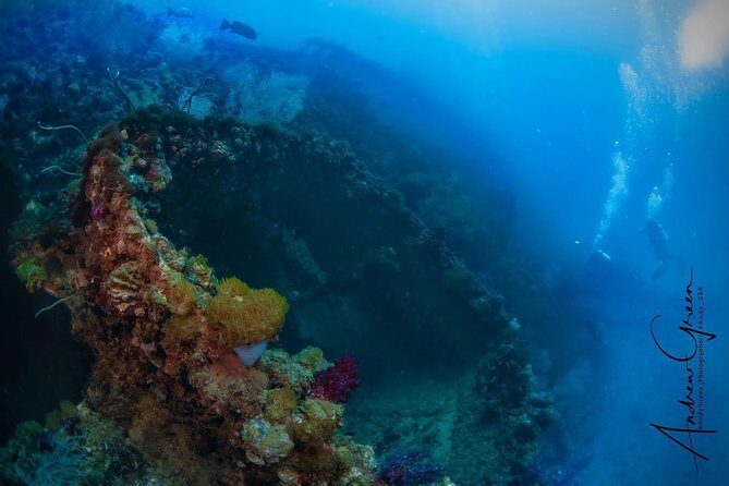 Scuba Dive the S.S. Yongala Wreck on the Great Barrier Reef. - Key Points