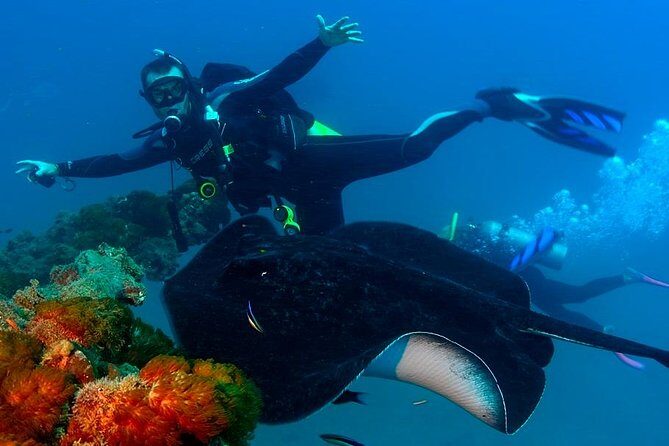 Scuba Dive the S.S. Yongala Wreck on the Great Barrier Reef. - Potential Considerations