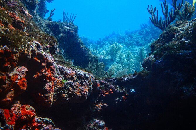 Scuba Diver Certification Course - Practical Details