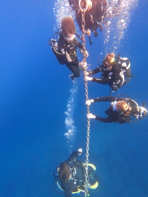 Scuba Diving 1 day course in Villasimius - Analyzing the Value of the Experience