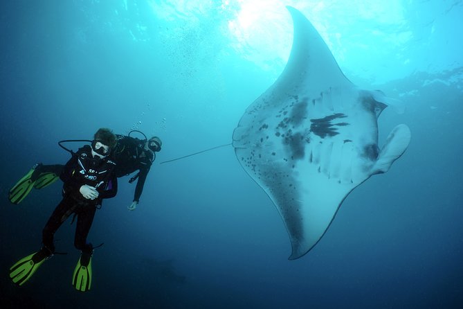 Scuba Diving 3 dives including Manta Rays at Nusa Penida - The Guides and Group Sizes