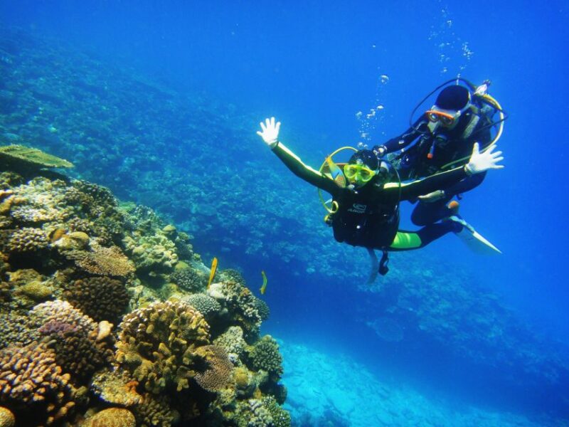 Scuba Diving 3 Islands Nha Trang Tour - What We Like and What Might Be a Consideration
