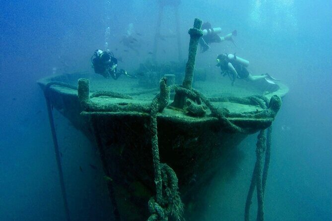 Scuba Diving Adventure in La Paz - FAQ