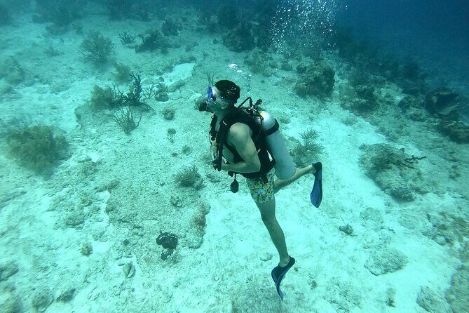 Scuba Diving Adventure in Riviera Maya Small Group Experience - Introduction