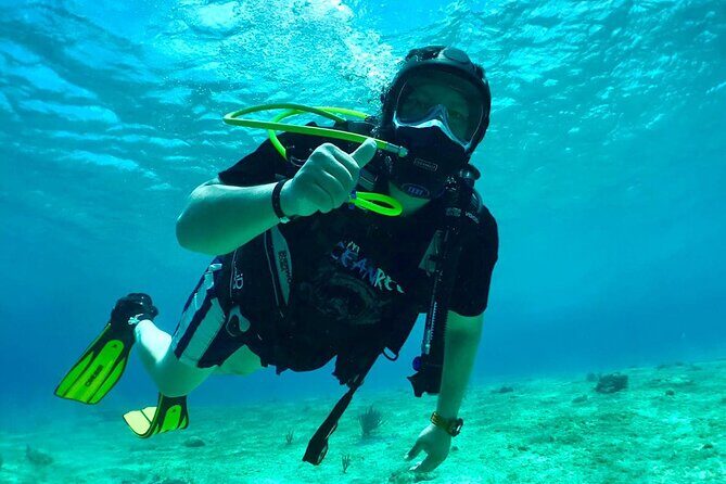 Scuba Diving Adventure in Riviera Maya Small Group Experience - What Makes This Tour Stand Out