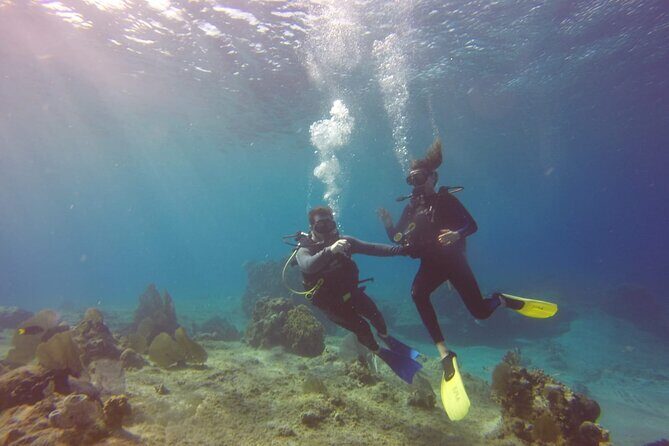 Scuba Diving Adventure in Riviera Maya Small Group Experience - The Sum Up