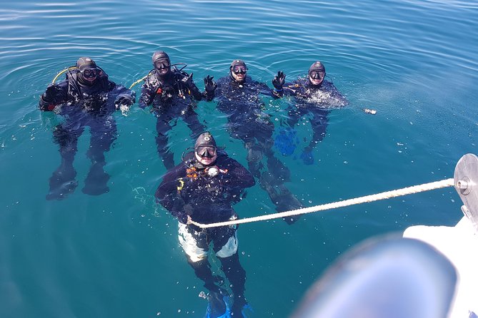 Scuba Diving Albufeira-Double Dive Trip - Reviews and Real Traveler Experiences
