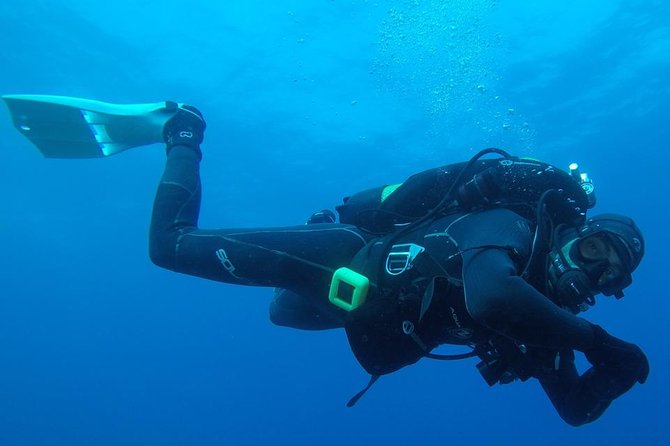 Scuba Diving Albufeira Double Dive Trip Review - About Your Stay
