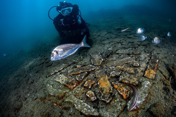 Scuba Diving and Underwater Roman Ruins in Baia From Naples - Accommodating Different Skill Levels