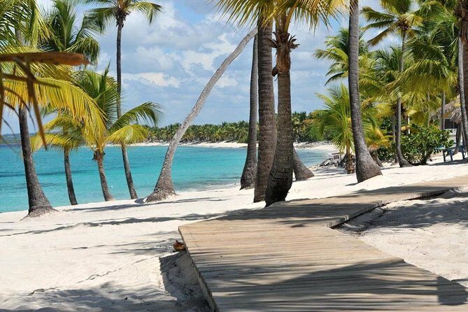 Scuba Diving at Catalina Island - 2 tank | 2 spots - Final Thoughts