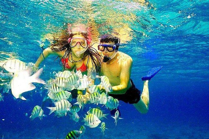 Scuba Diving at Catalina Island - All Inclusive - Full Day Tour - Introduction: Is This Tour Right for You?