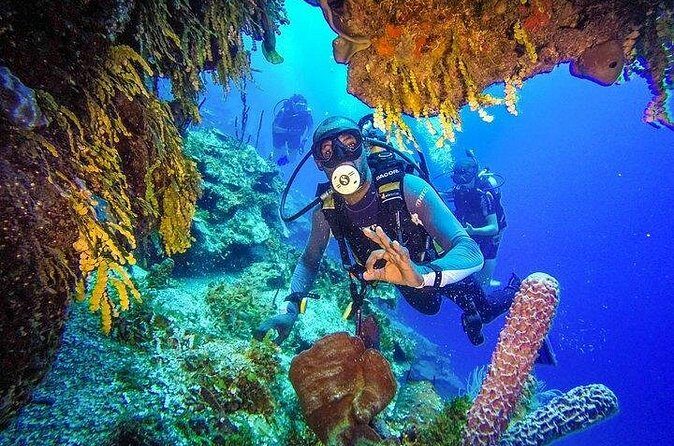 Scuba Diving at Catalina Island - All Inclusive - Full Day Tour - The Group Size and Timing