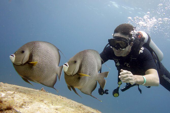 Scuba diving at MUSA the underwater museum for certified divers - Frequently Asked Questions