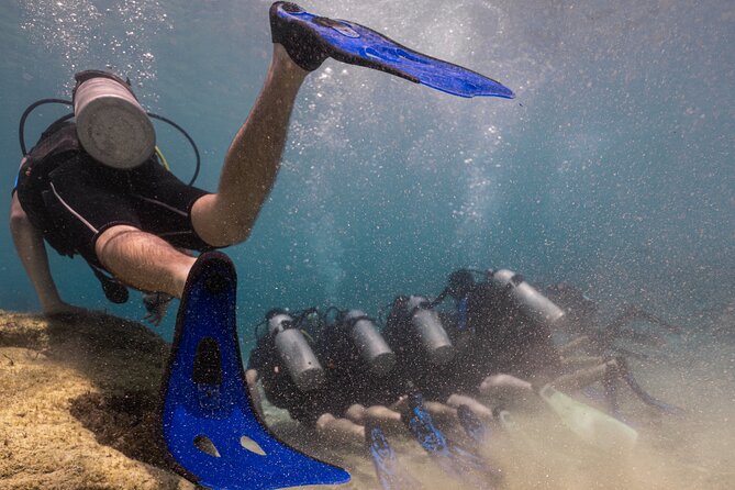 Scuba Diving at Turtle Bay with Underwater Pictures Included - A Practical Overview of the Turtle Bay Scuba Tour