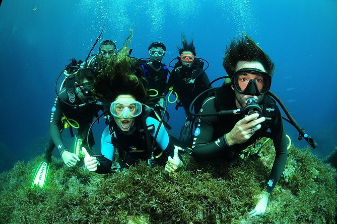 Scuba Diving Baptism and Snorkeling in Ibiza - Insights from Reviews and Real Experiences