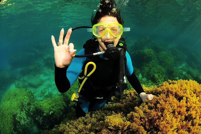 Scuba Diving Baptism and Snorkeling in Ibiza - Practical Details and Considerations